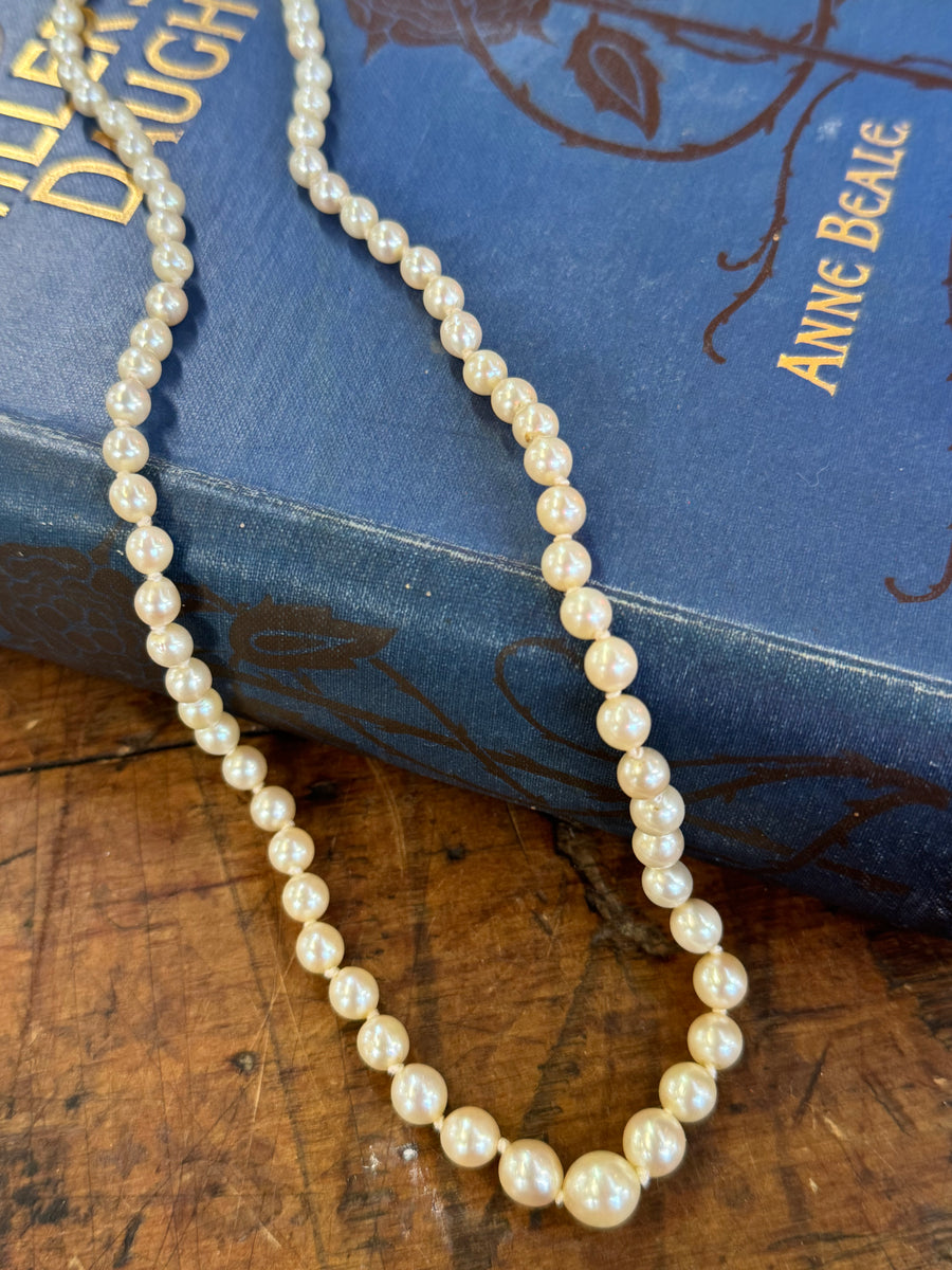 Sea Water Pearls Graduated 22cm Length Cream in colour Knotted ...